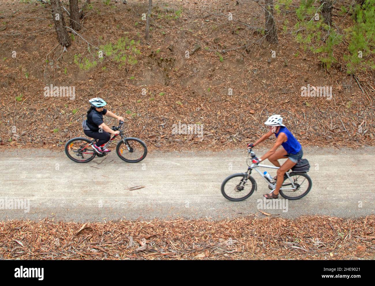 Cycling on the Riesling Trail through the Clare Valley Stock Photo - Alamy