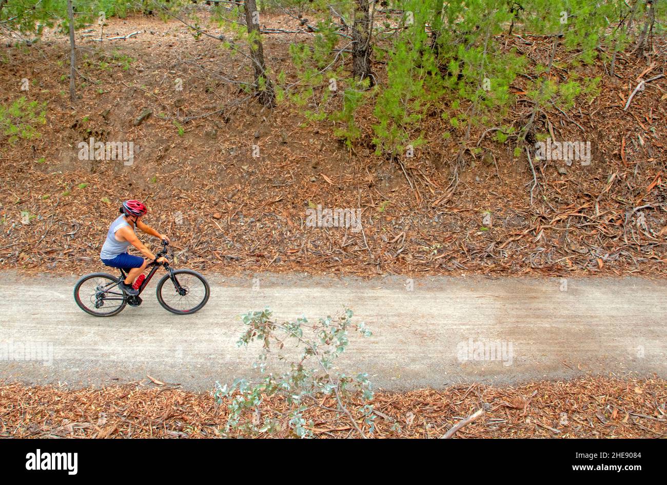 Cycling on the Riesling Trail through the Clare Valley Stock Photo - Alamy