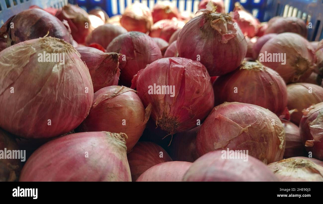 Onion tomato shop fresh farm hi-res stock photography and images - Alamy