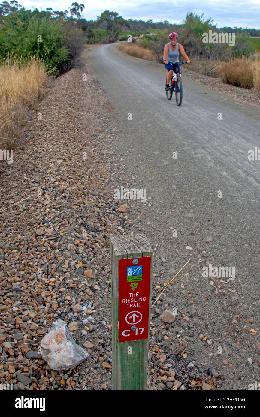 Cycling on the Riesling Trail through the Clare Valley Stock Photo - Alamy