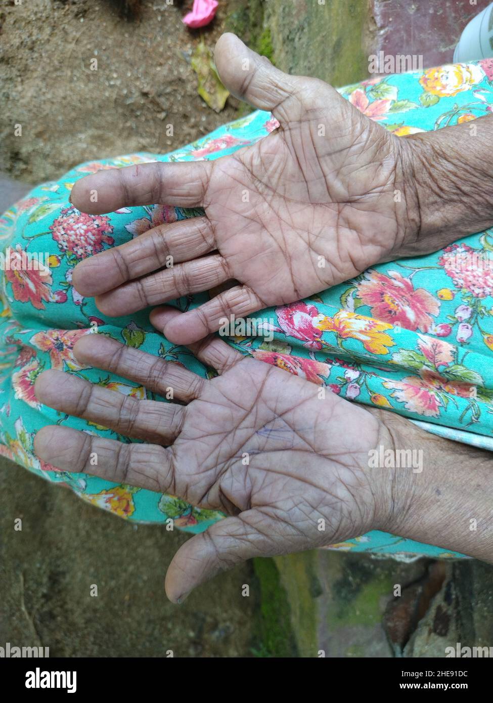 Hands of elderly Lady Stock Photo - Alamy