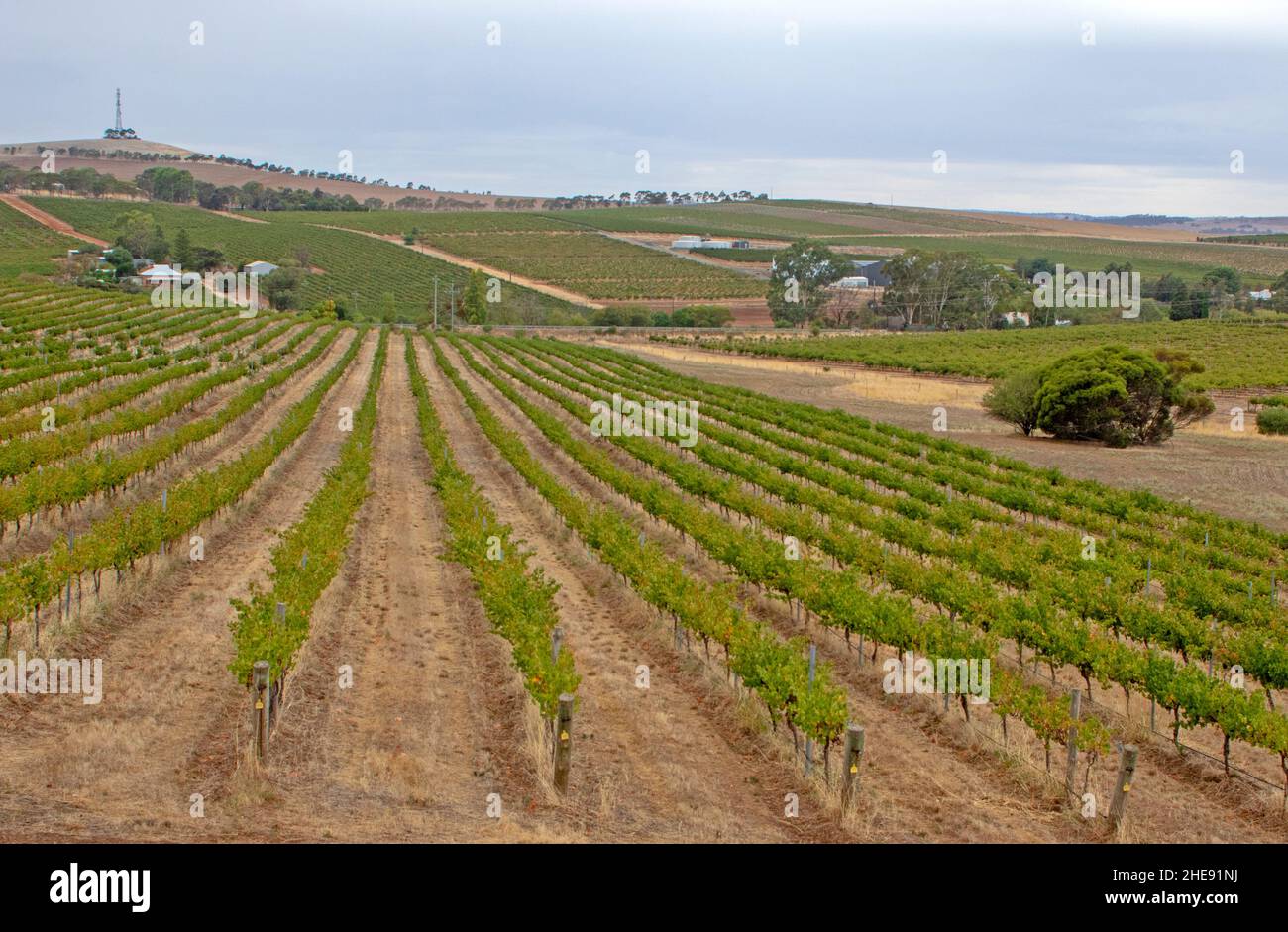 Clare valley hi-res stock photography and images - Alamy