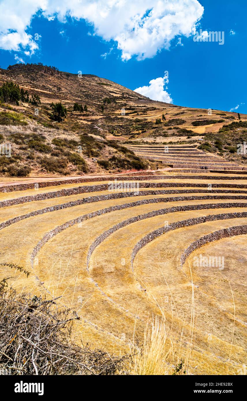 Agricultural terraces moray urubamba peru hi-res stock photography and ...