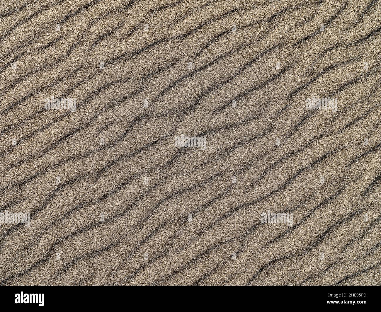 Diagonal patterns in the sand dunes on the Pacific coast near Lakeside ...