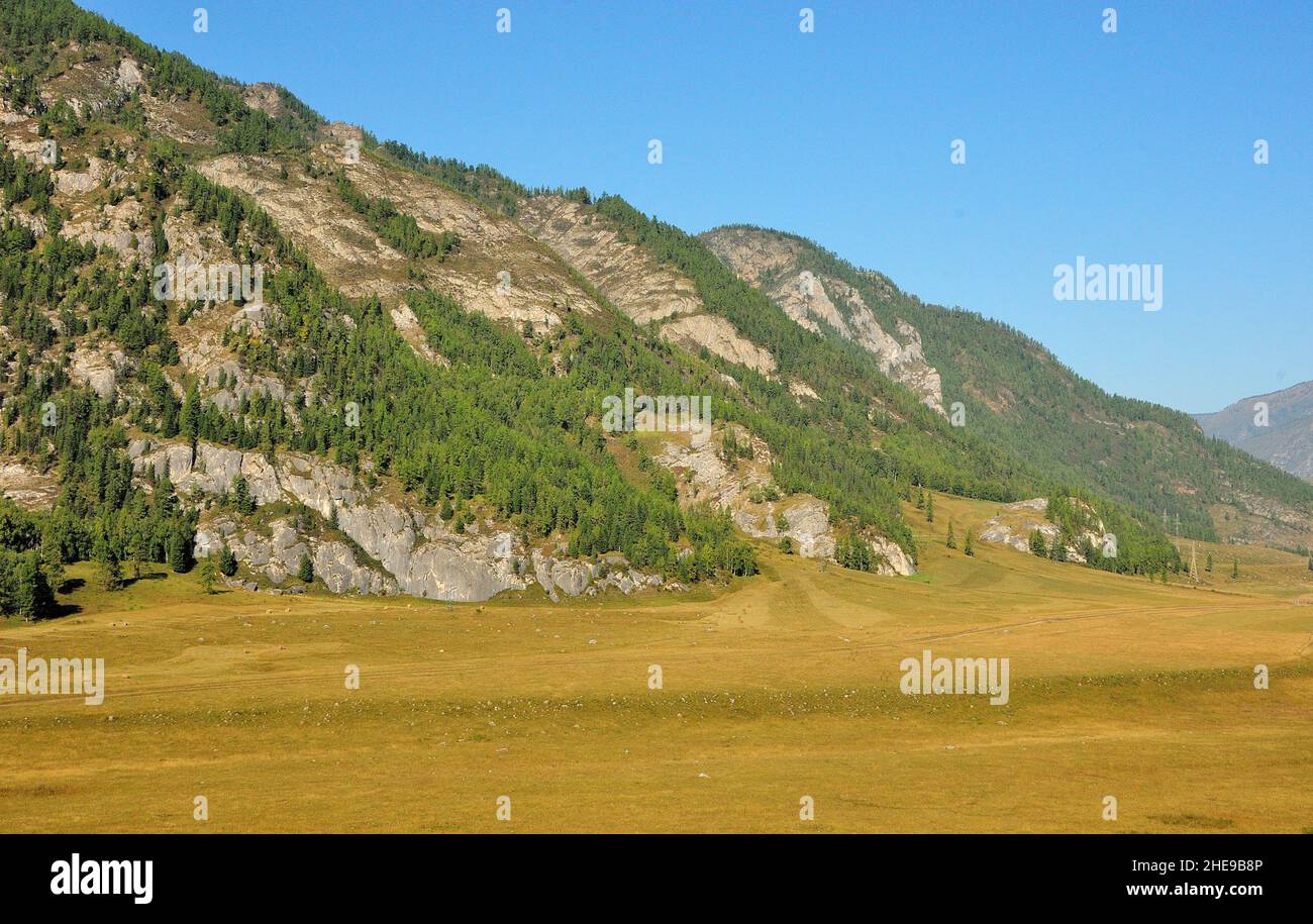 The slope of a high mountain overgrown with conifers at the beginning ...