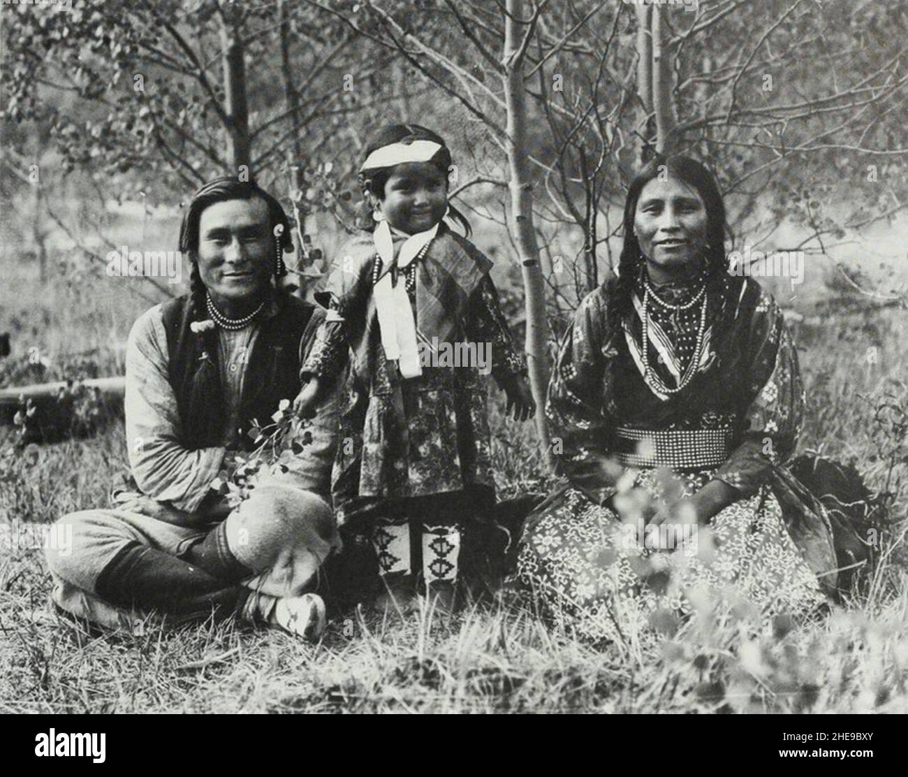 Samson Beaver and family Stock Photo - Alamy