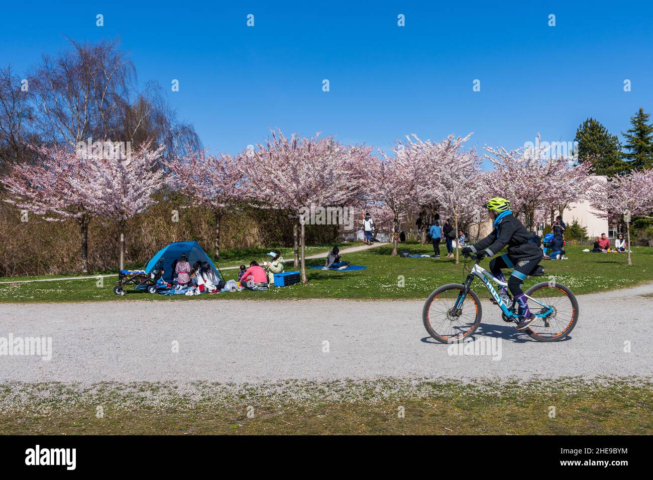 People doing cycling and having a picnic in the Garry Point Park in ...