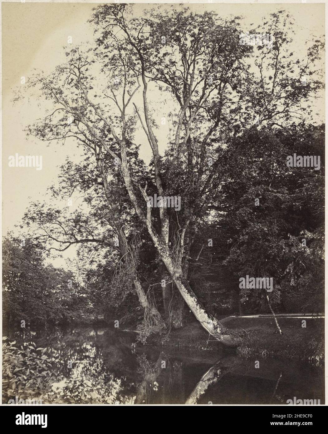 Samuel buckle hi-res stock photography and images - Alamy