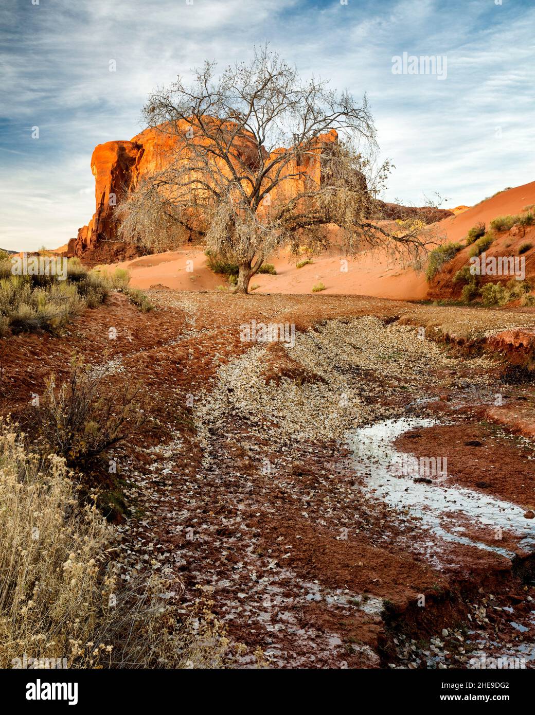 Cottonwood arizona hi-res stock photography and images - Alamy
