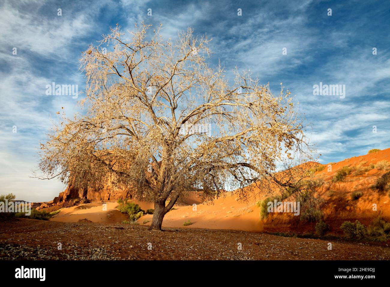 Cottonwood arizona hi-res stock photography and images - Alamy