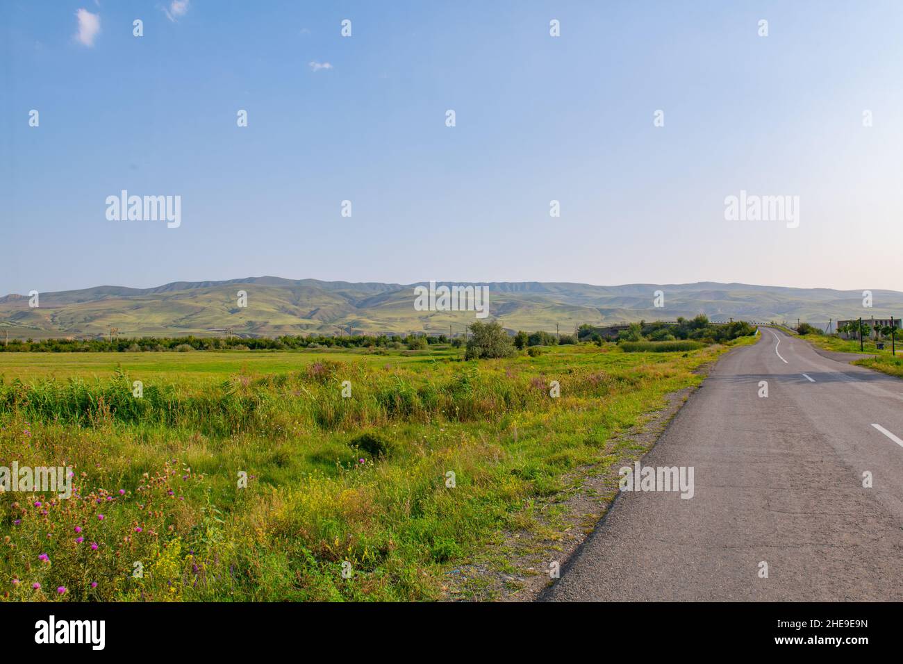road going into the distance in the fields Stock Photo - Alamy