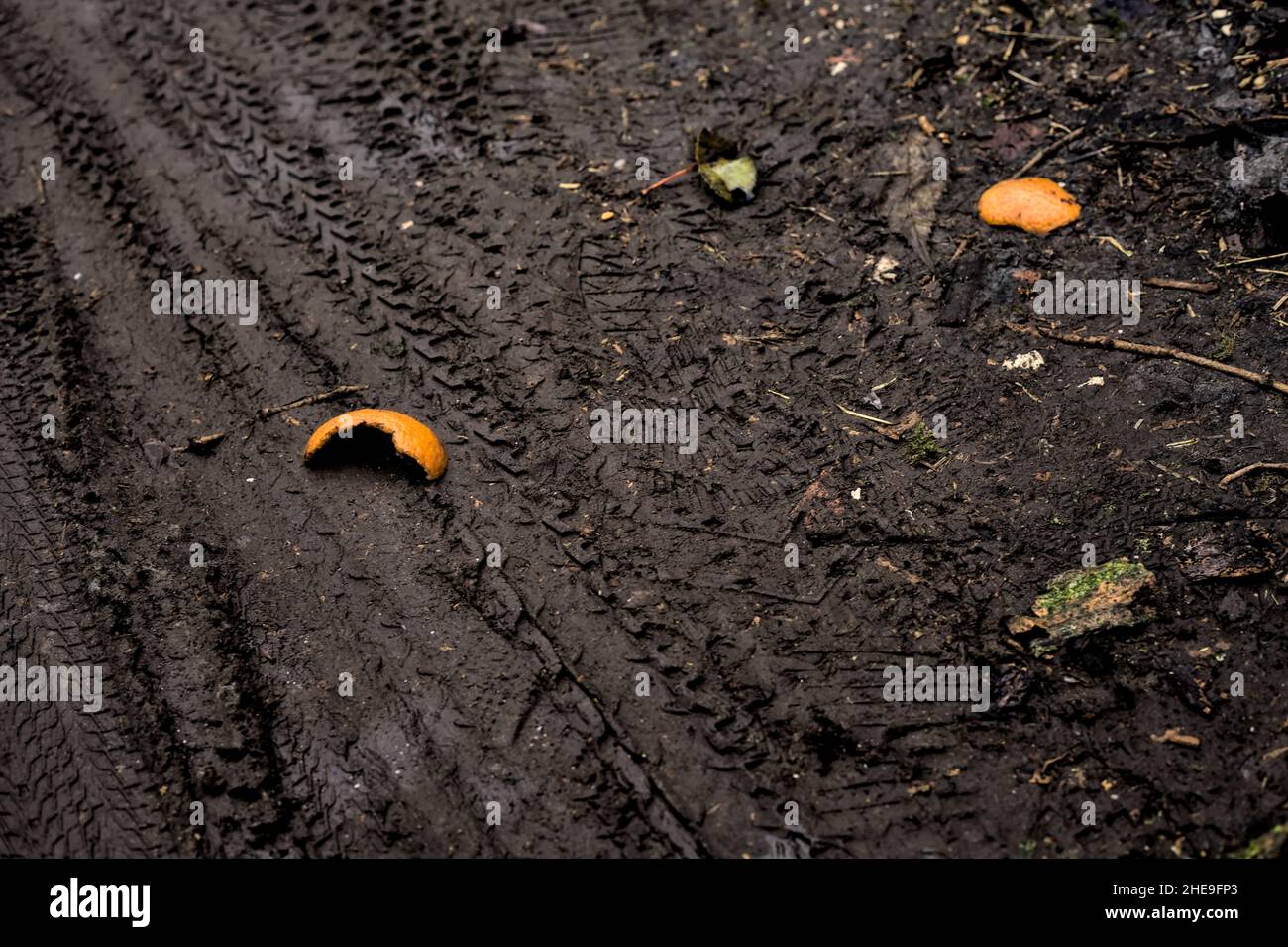 Orange peels on a muddy path seen from above Stock Photo - Alamy