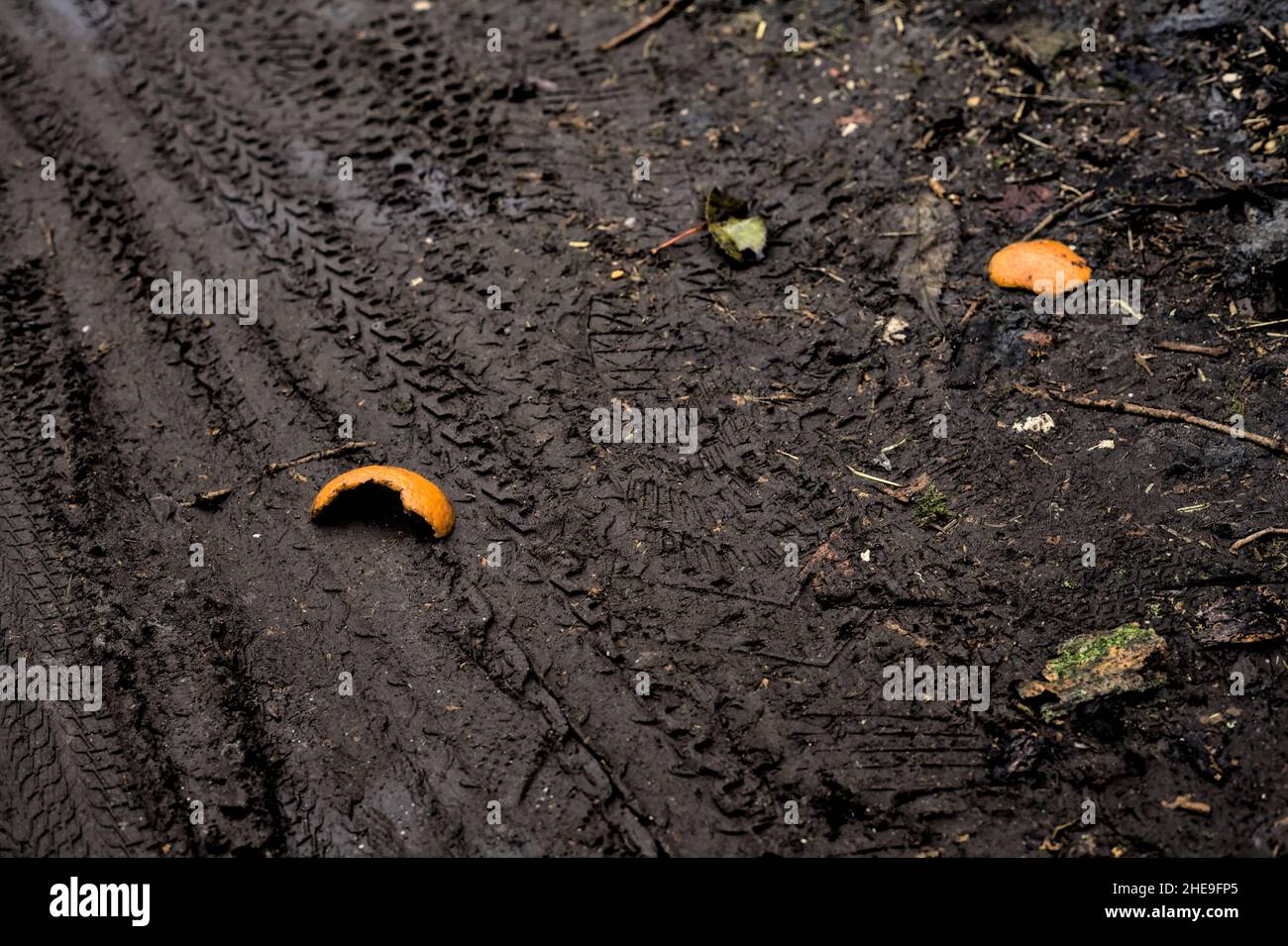 Orange peels on a muddy path seen from above Stock Photo - Alamy