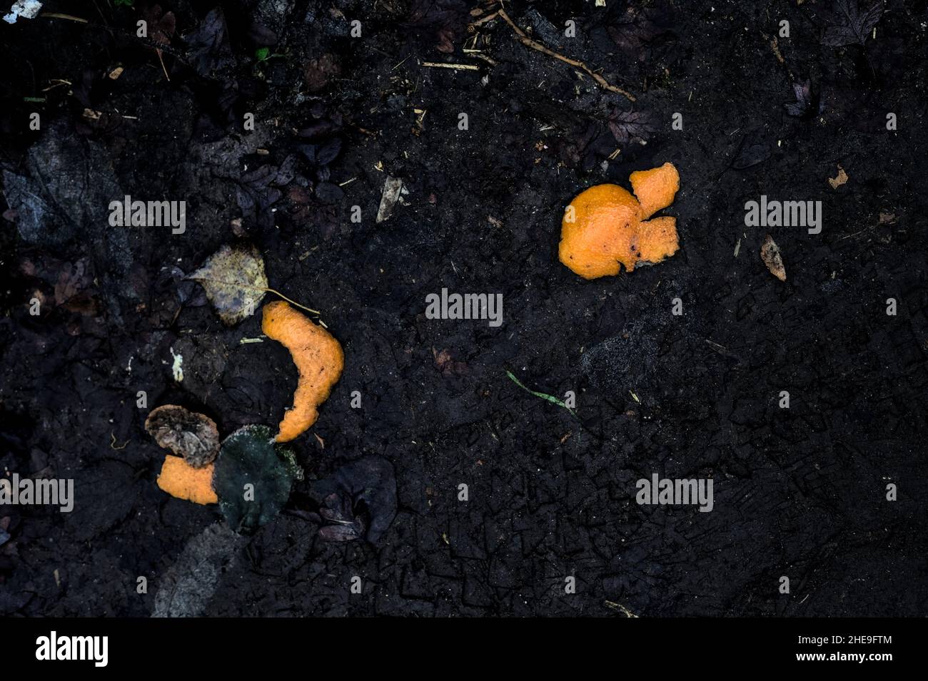 Orange peels on a muddy path seen from above Stock Photo - Alamy