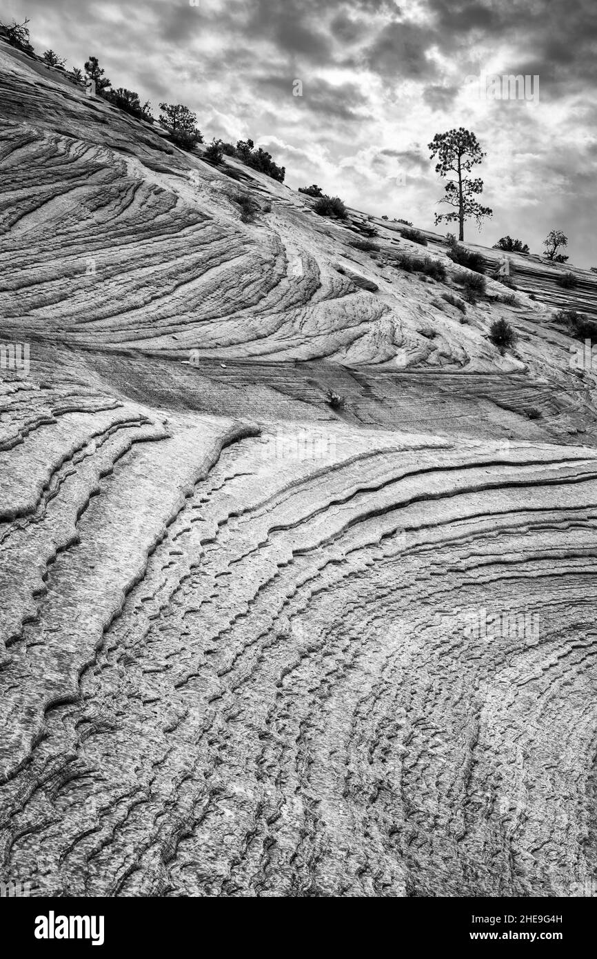 Rock curve hi-res stock photography and images - Alamy