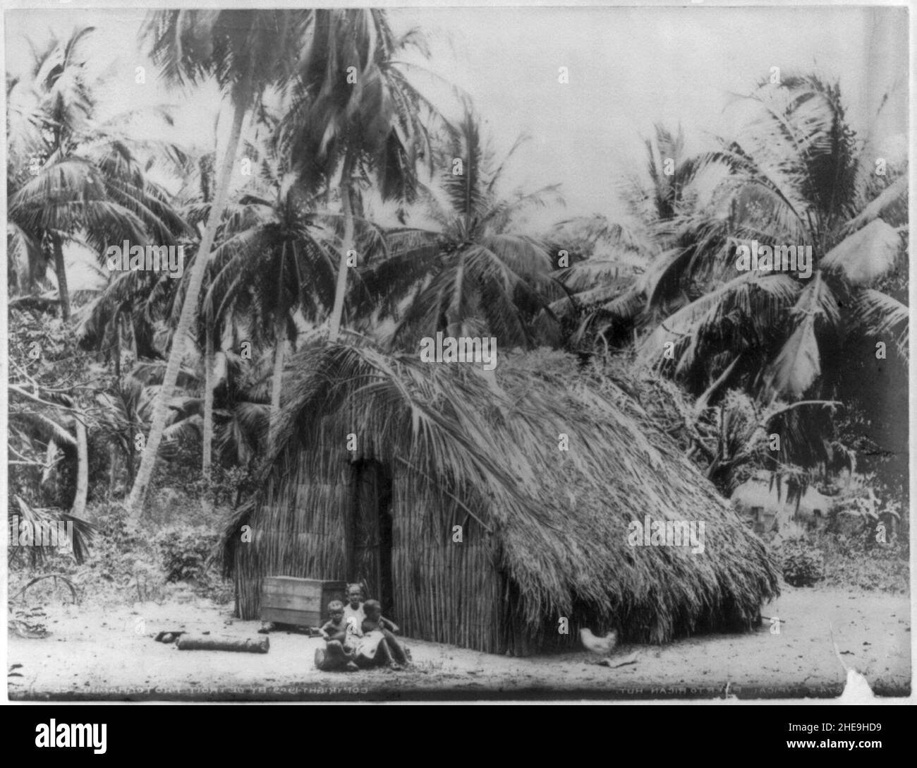 San Juan, Puerto Rico, and vicinity, 1901-1903- ''Typical Puerto Rican ...