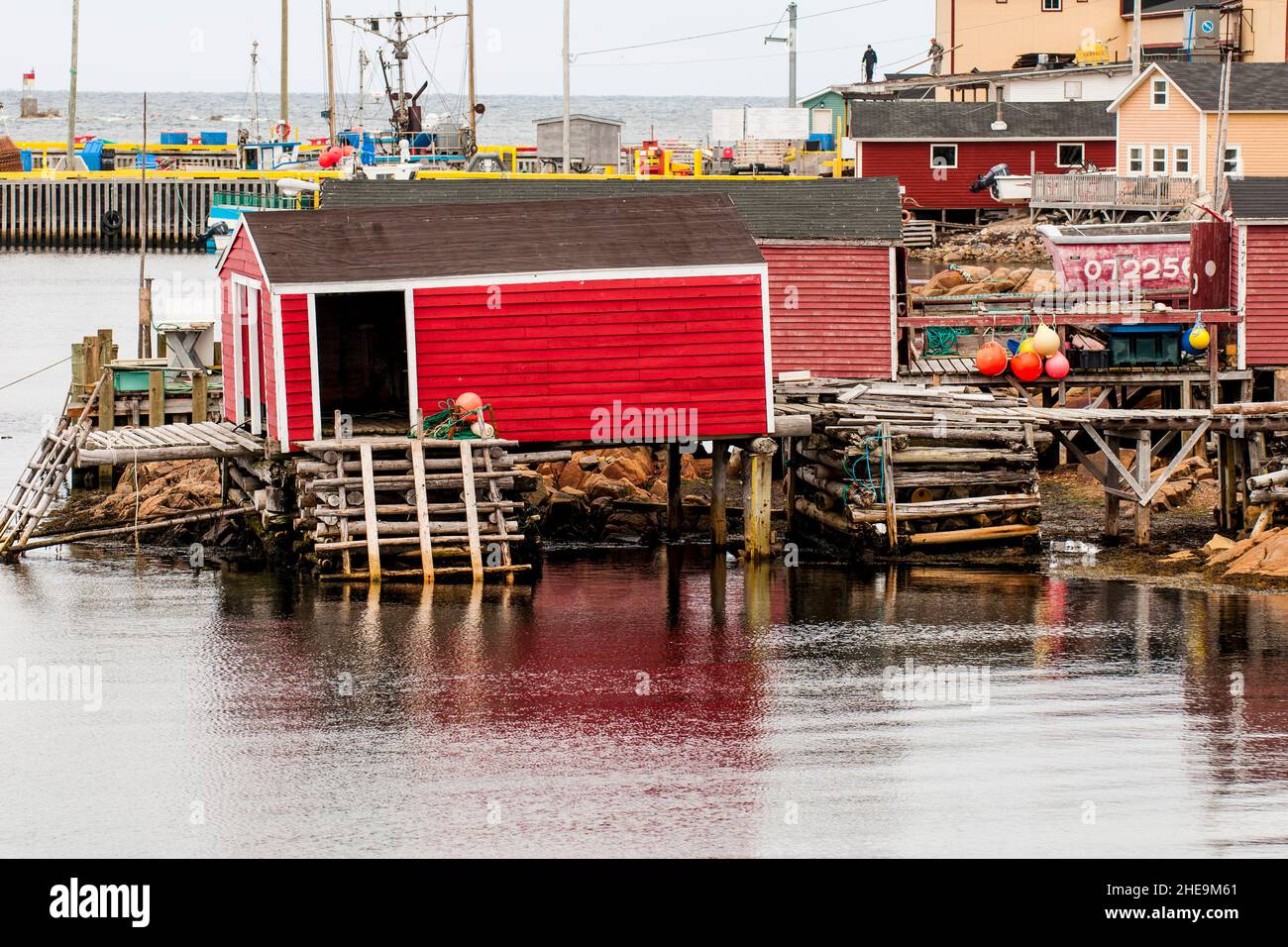 Boathouse in Joe Batt's Arm, Fogo Island, Newfoundland, Canada Stock ...