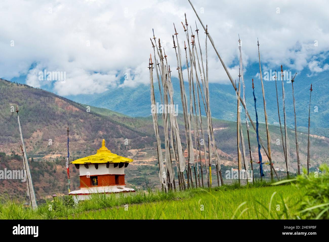 Chorten and prayer flags on rice paddy in the Himalayas, Punakha ...