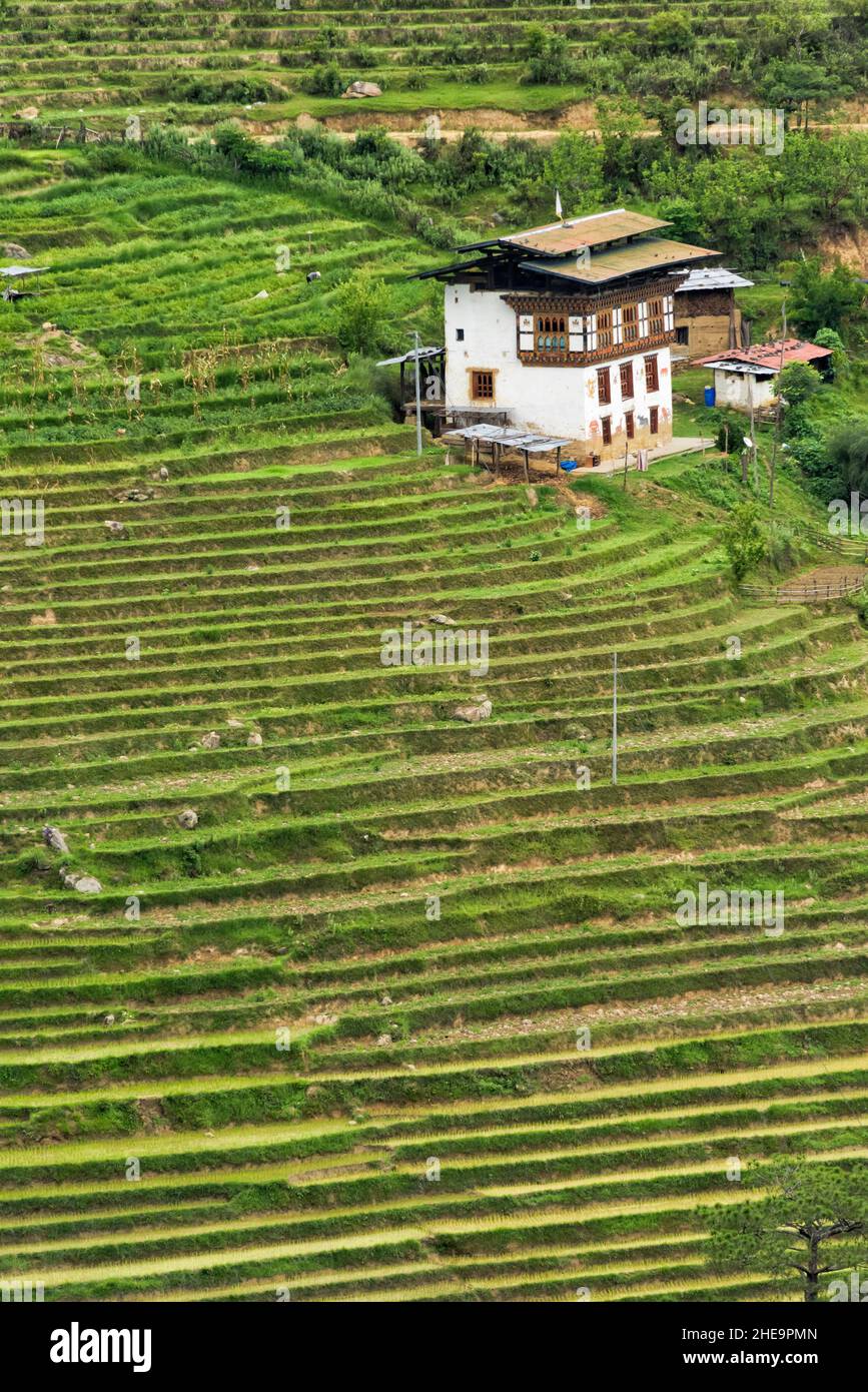 Rice village hi-res stock photography and images - Alamy