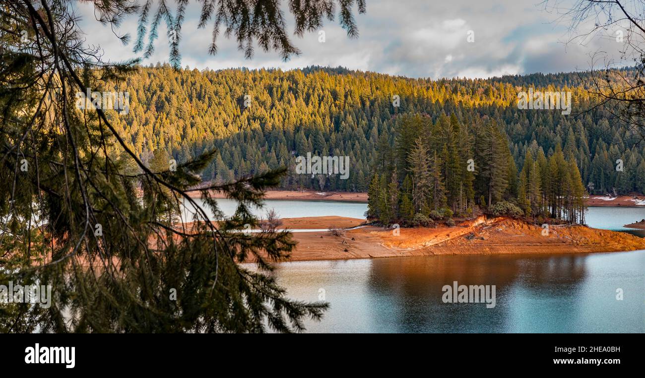 Island in Jenkinson Lake, surrounded by fir trees in Northern ...