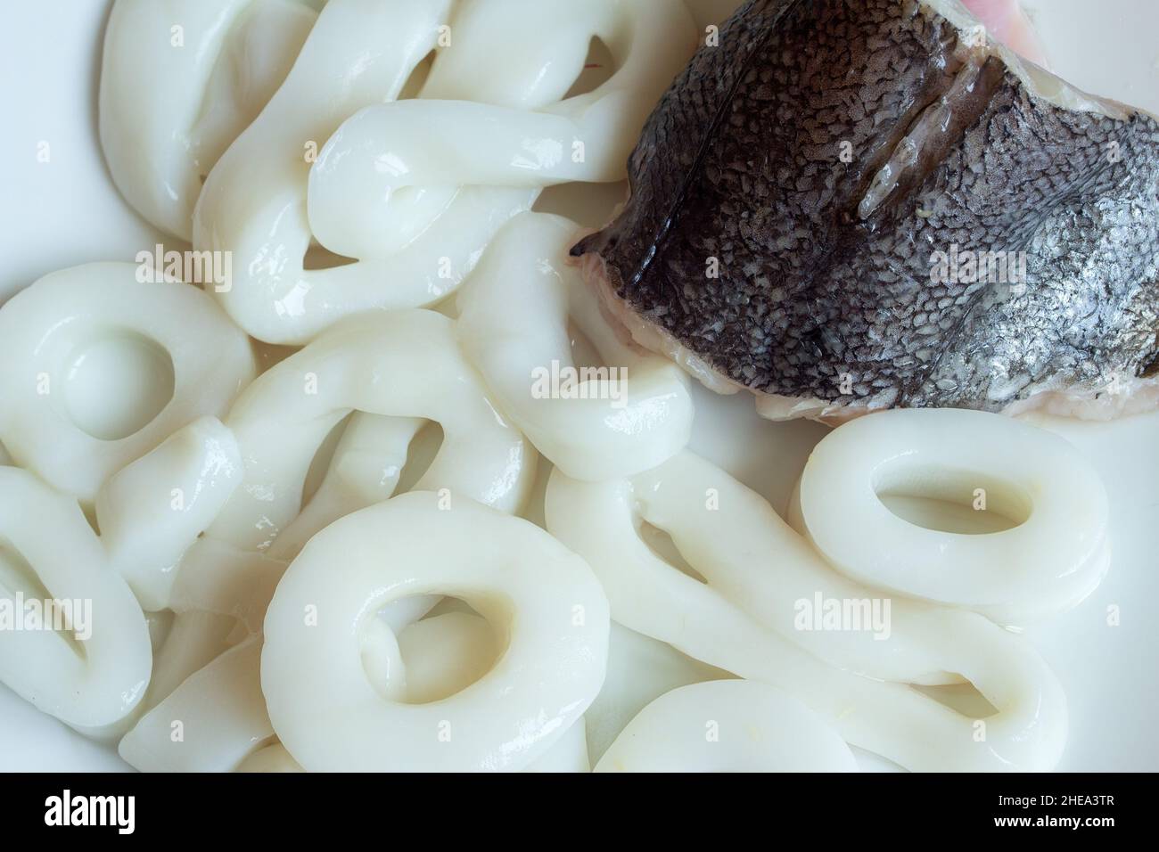 Free squid hi-res stock photography and images - Alamy