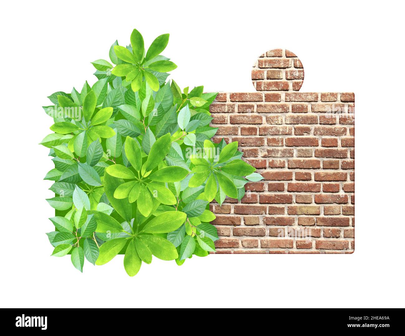 Ecology and eco friendly home concept. Responsible consumption. Two ... Ecology and eco friendly home concept. Responsible consumption. Two ...