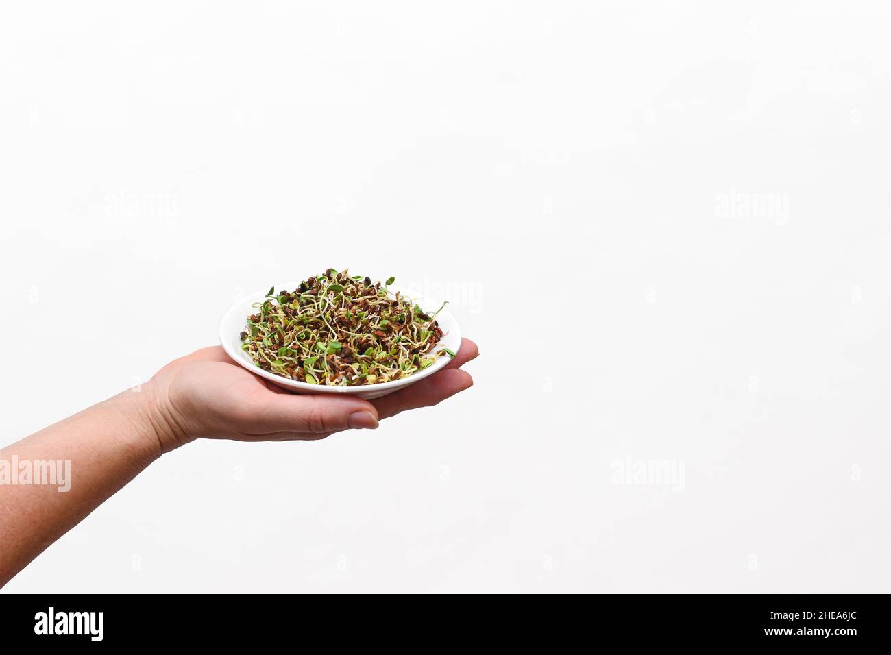 sprouted flax seeds in the palm of your hand in a plate Stock Photo - Alamy