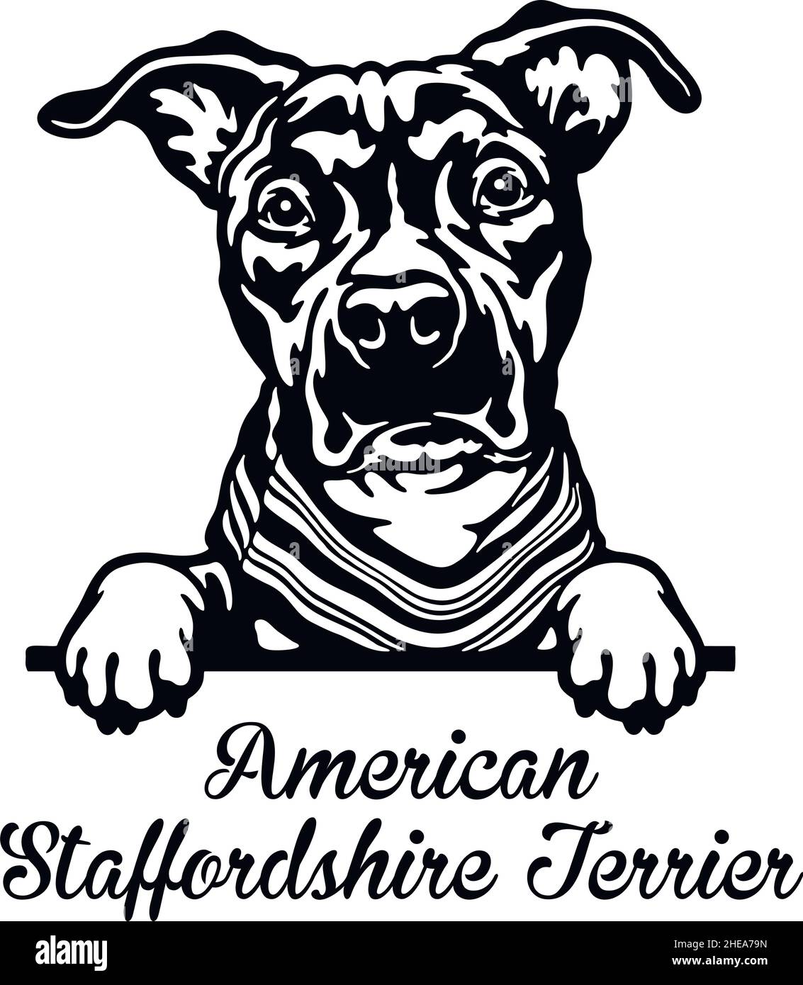 American Staffordshire Terrier Peeking Dog - head isolated on white ...