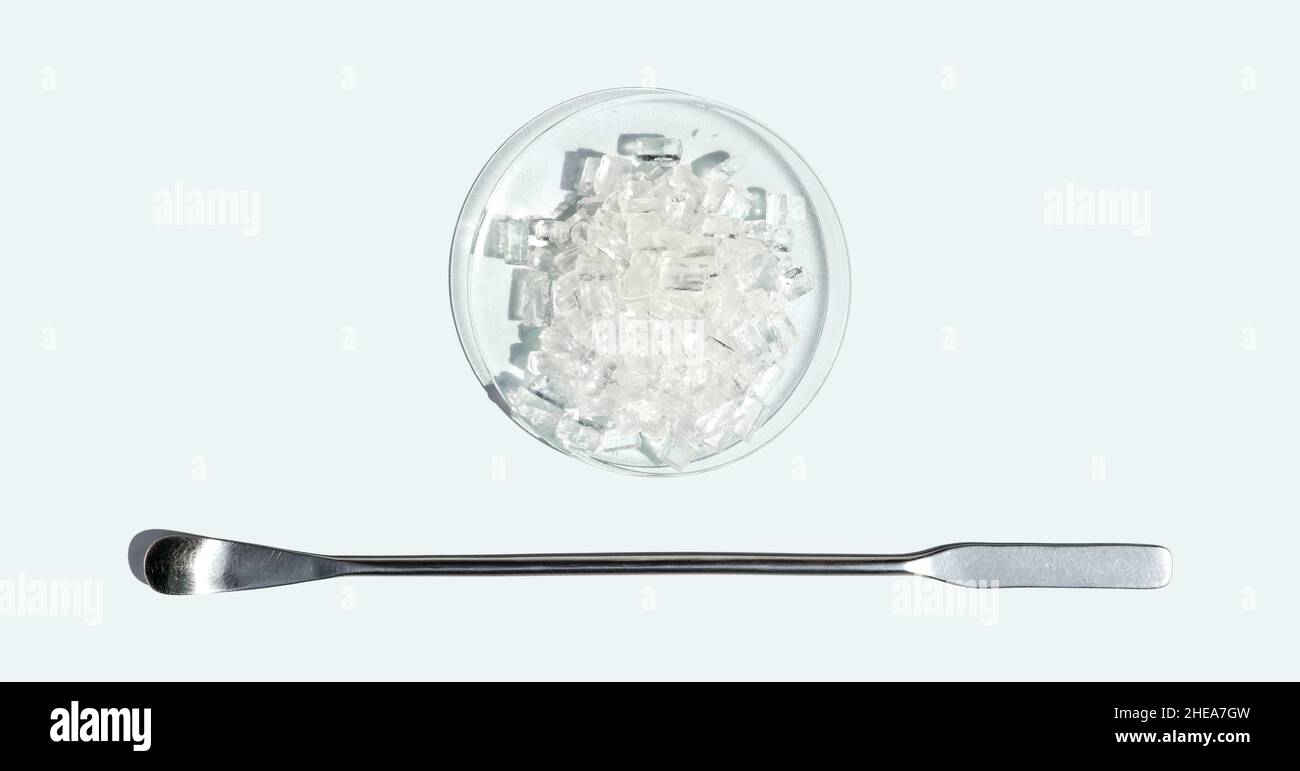 Pointer Laboratory Spatula