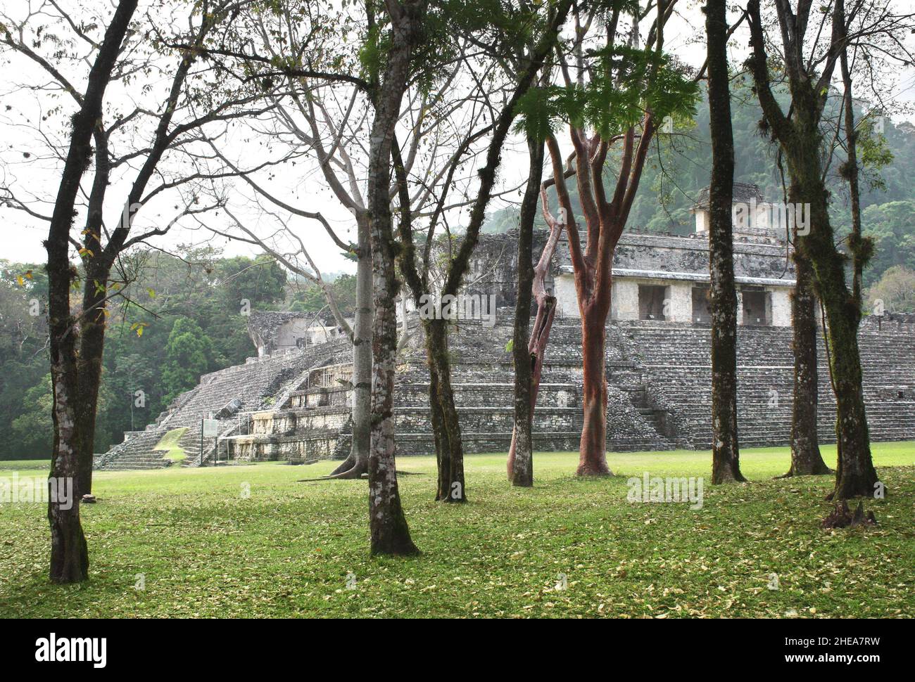 Ancient stepped pyramid at the pre-Columbian Maya civilization ...