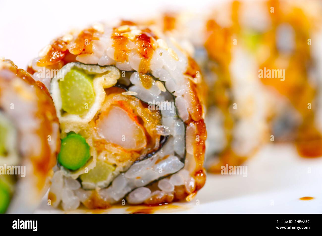 macro closeup of fresh sushi choice combination assortment selection ...