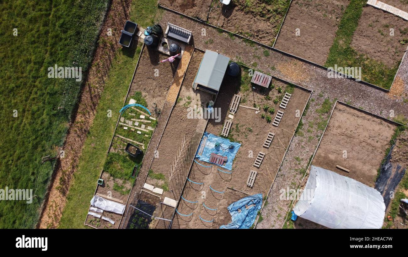 aerial view of a section of allotment looking directly from above Stock ...