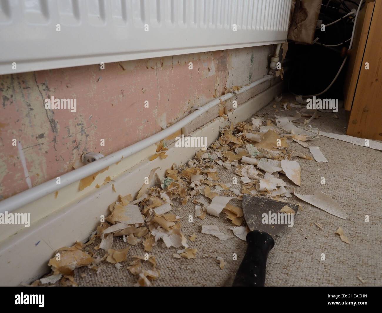 Scraper tool hi-res stock photography and images - Alamy