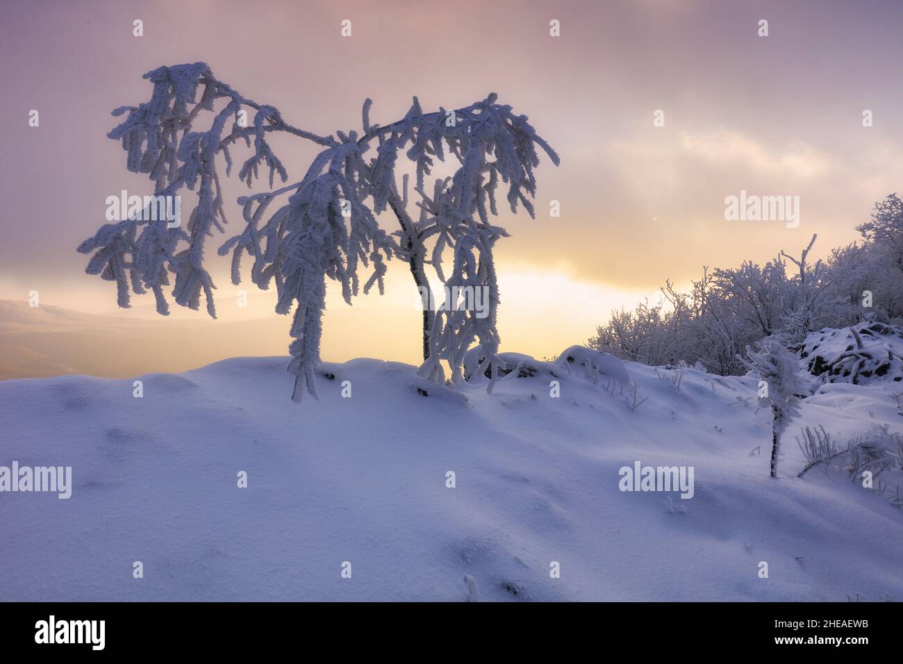 Panorama sunset colored sky winter snow clouds in Slovakia nature ...