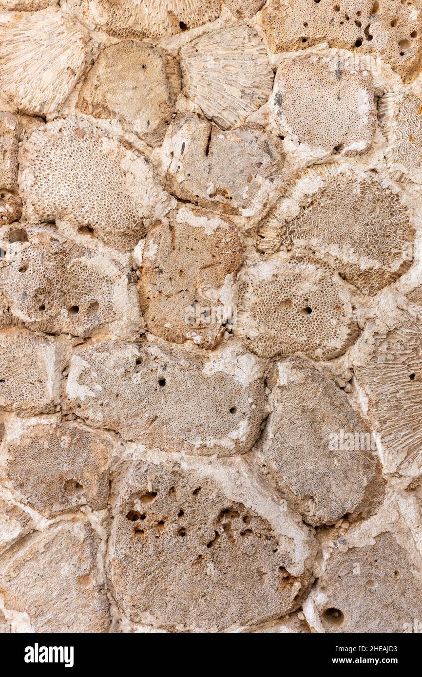 Sun-baked coral stone wall texture, facade of an old building in Dubai ...