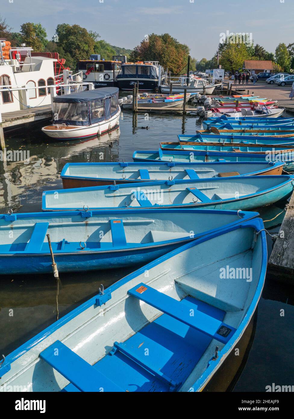 Colourful riverside scene with blue rowing boats, River Thames, Henley ...