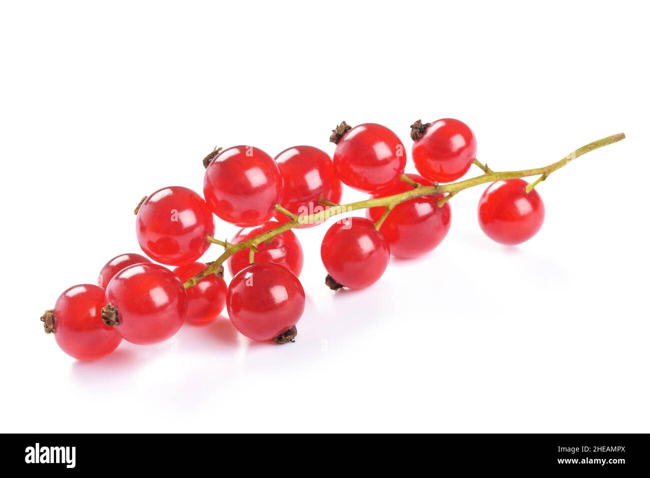 Red Currant cluster isolated on white background Stock Photo - Alamy