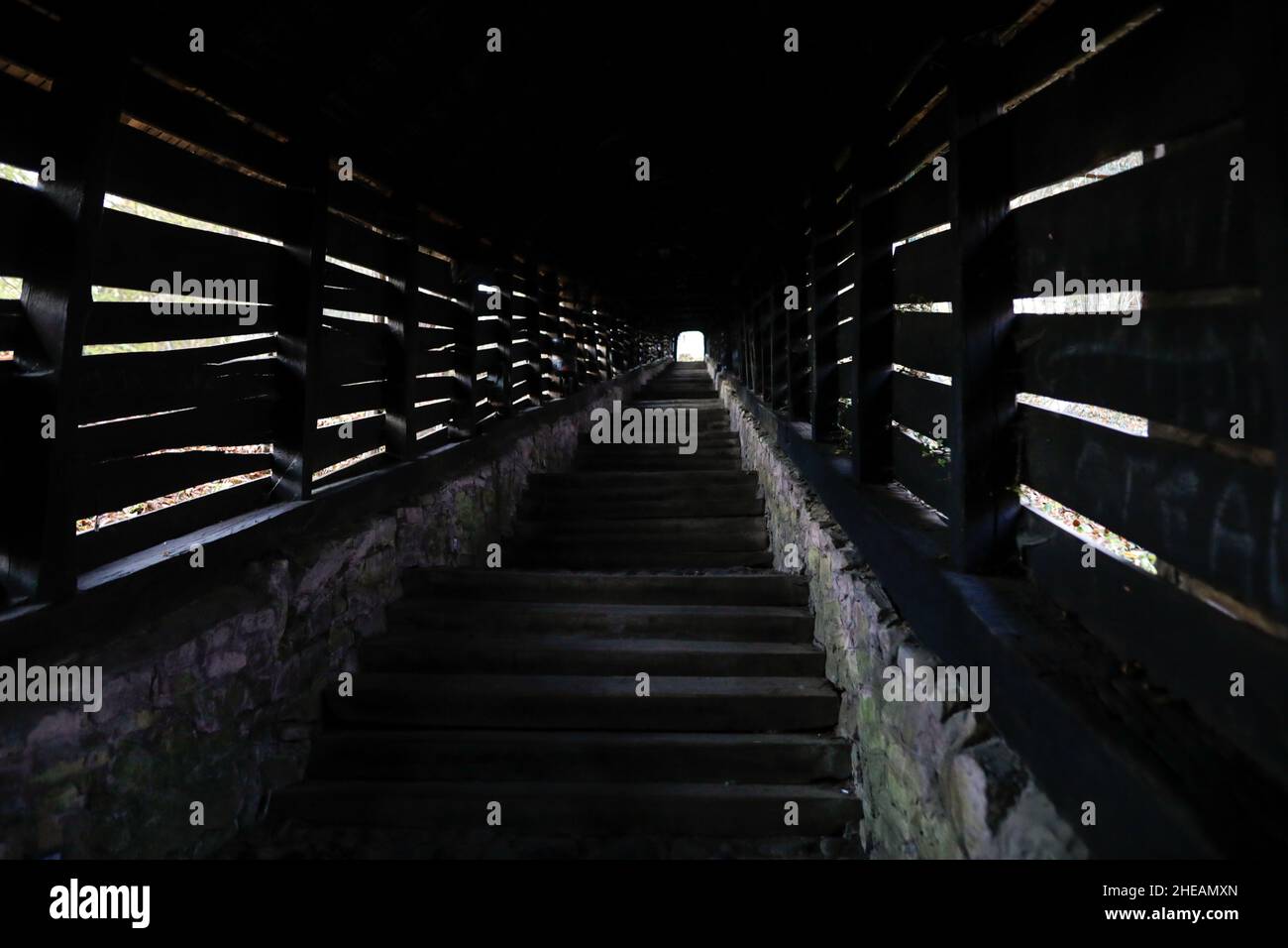 Scara elevilor hi-res stock photography and images - Alamy