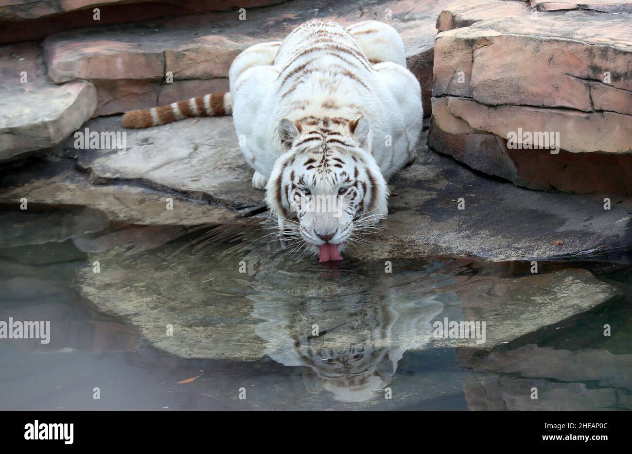 Nantong, Nantong, China. 10th Jan, 2022. On January 9, 2022, in the ...