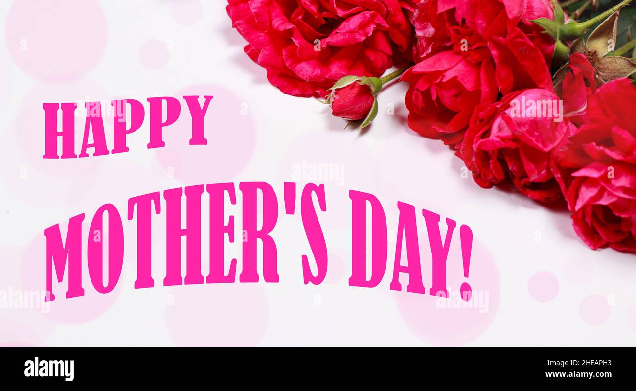 Banner design with roses hi-res stock photography and images - Alamy