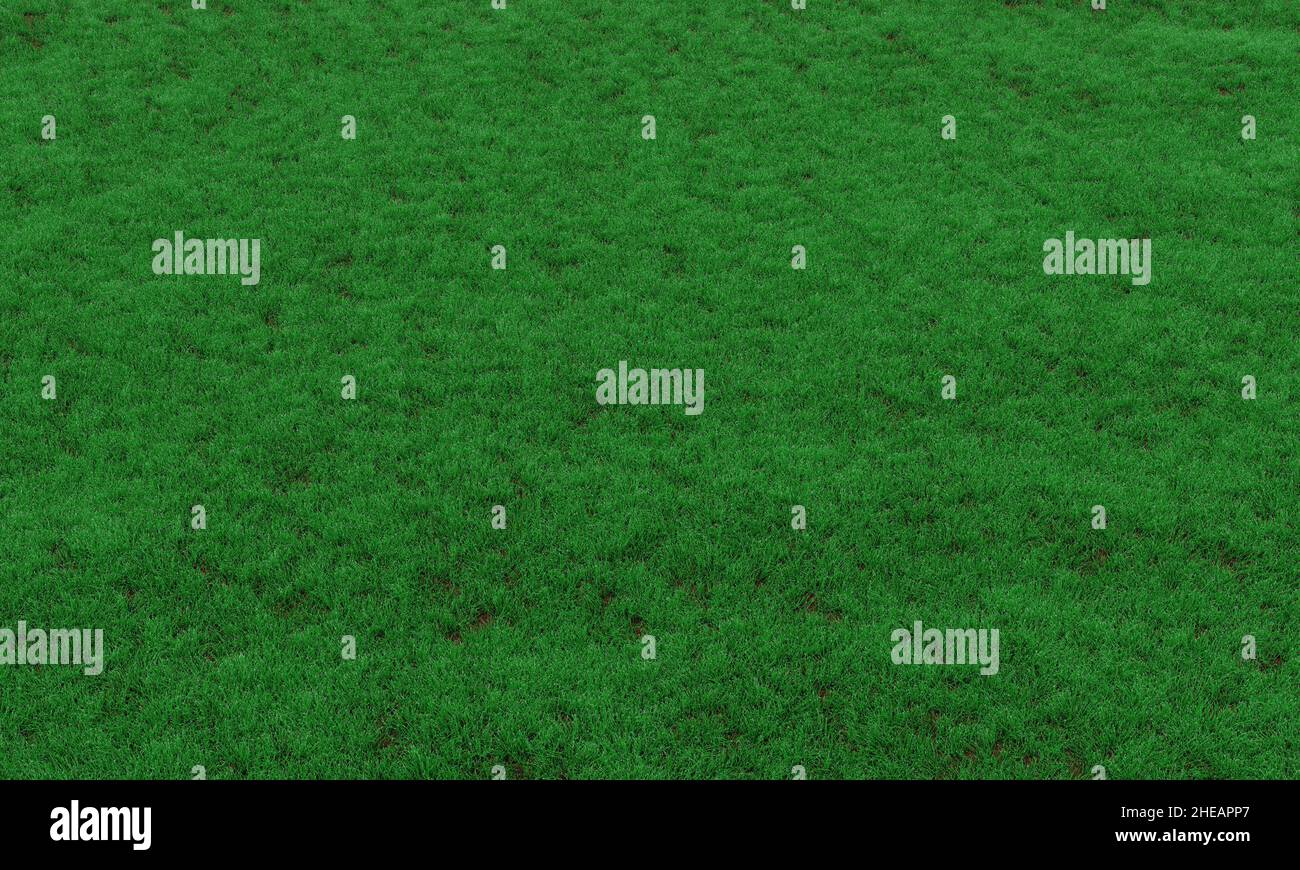3D illustration of green grass background with perfect shape lush ...