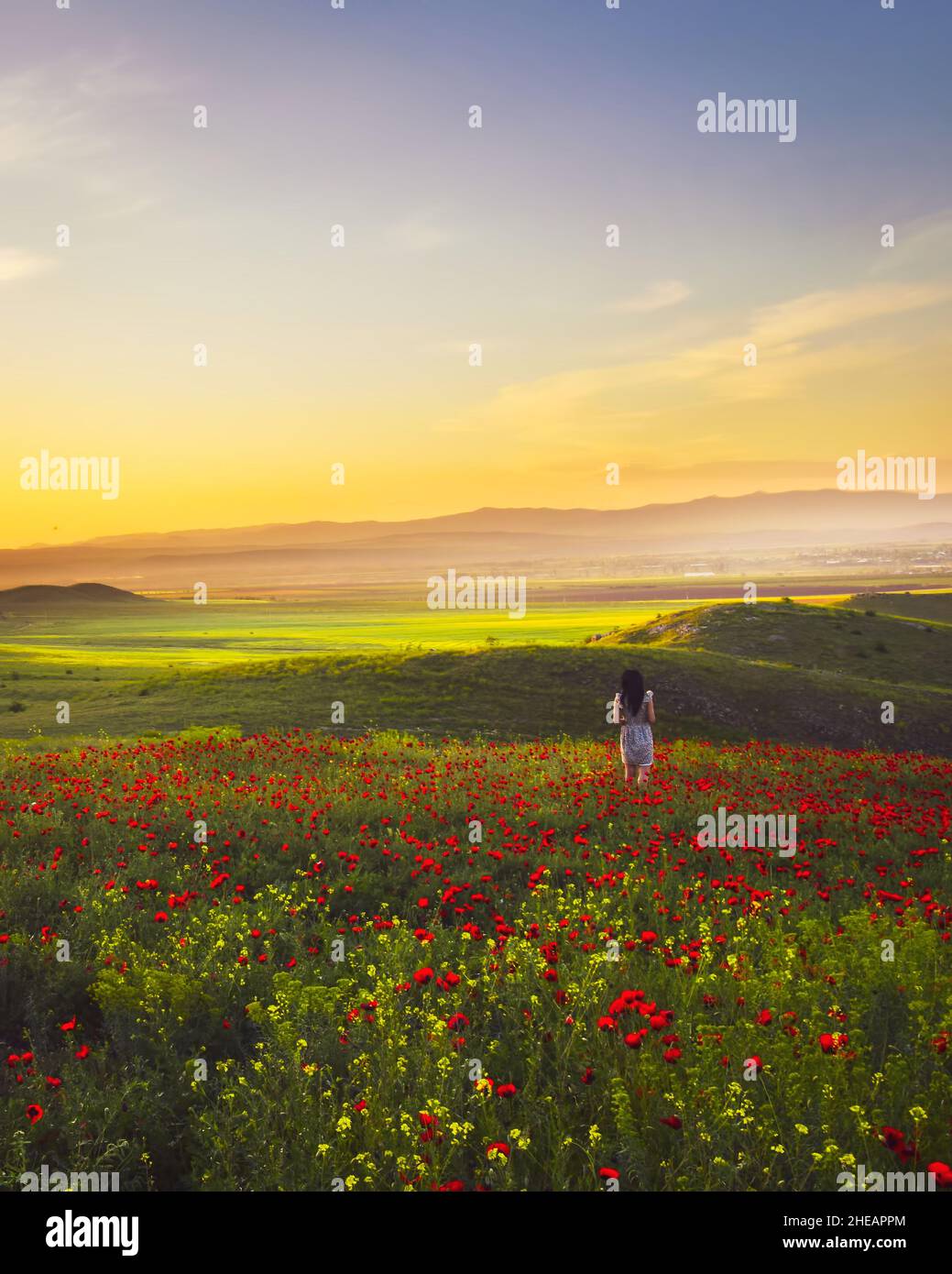 Girl stand isolated wonderful nature alone with vibrant landscape in ...