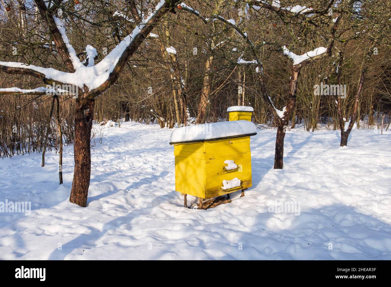 Frost on beehive hi-res stock photography and images - Alamy