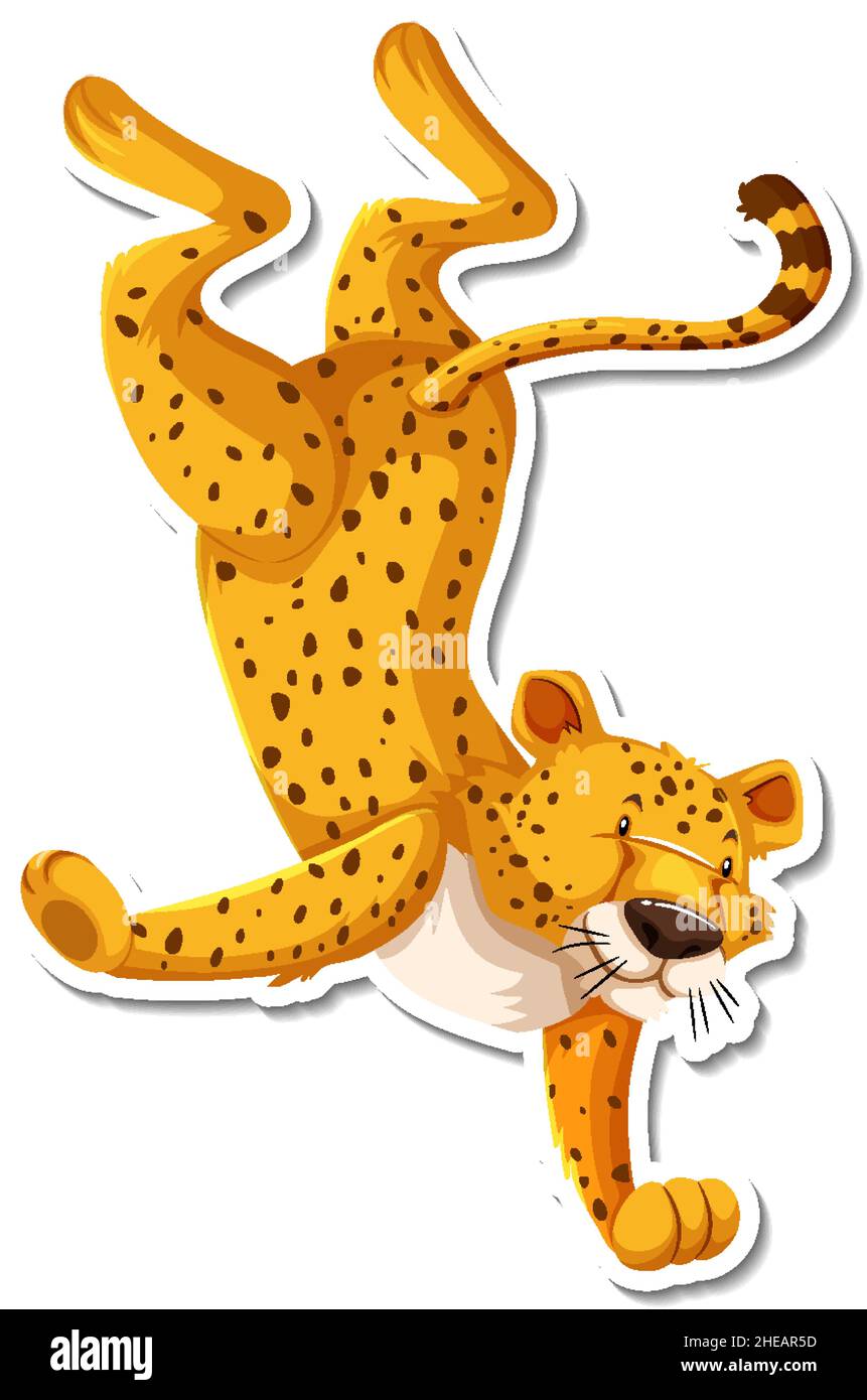 Cheetah dancing cartoon character on white background illustration ...