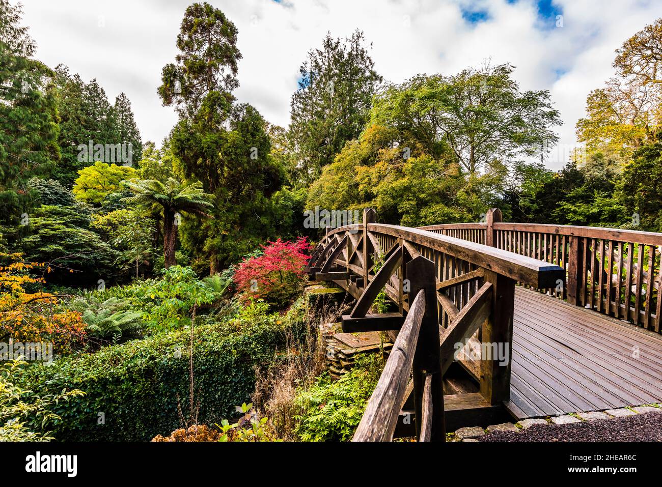 Wooden footbridge over the road in The Dell at Trelissick Gardens, near ...