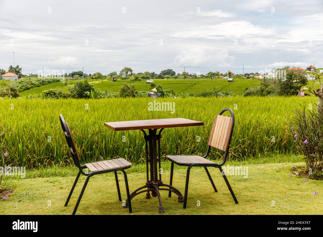 Rice paddy cafe hi-res stock photography and images - Alamy