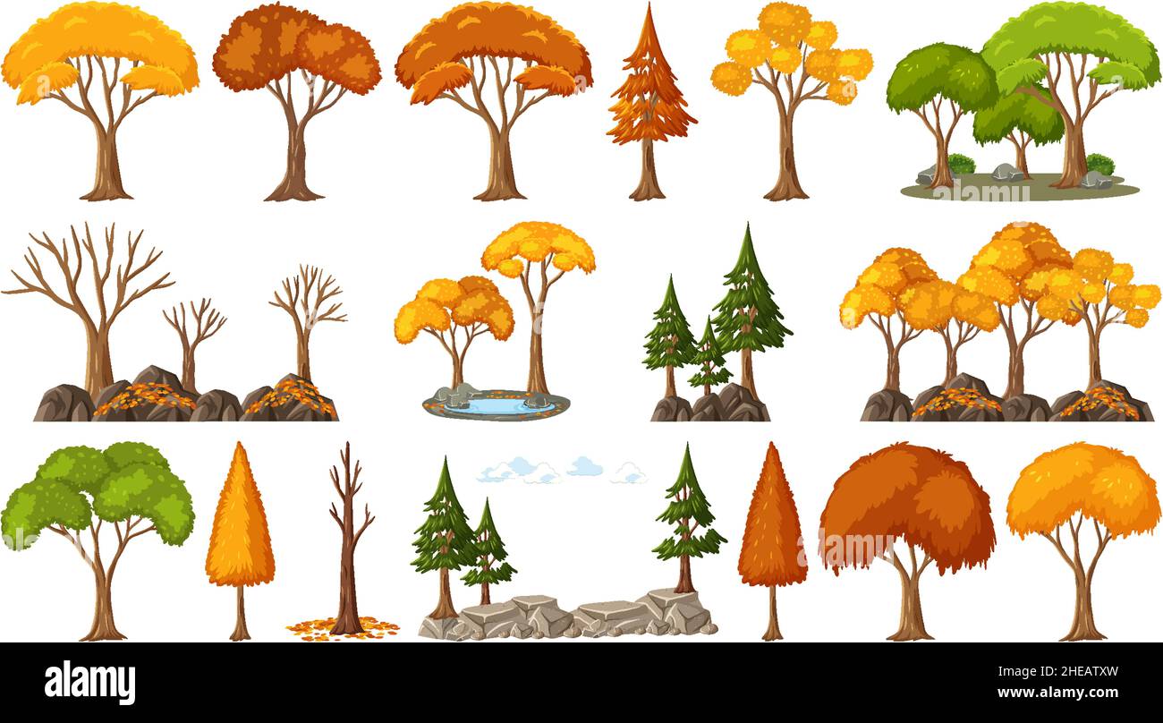 Set of four seasons trees on white background illustration Stock Vector ...