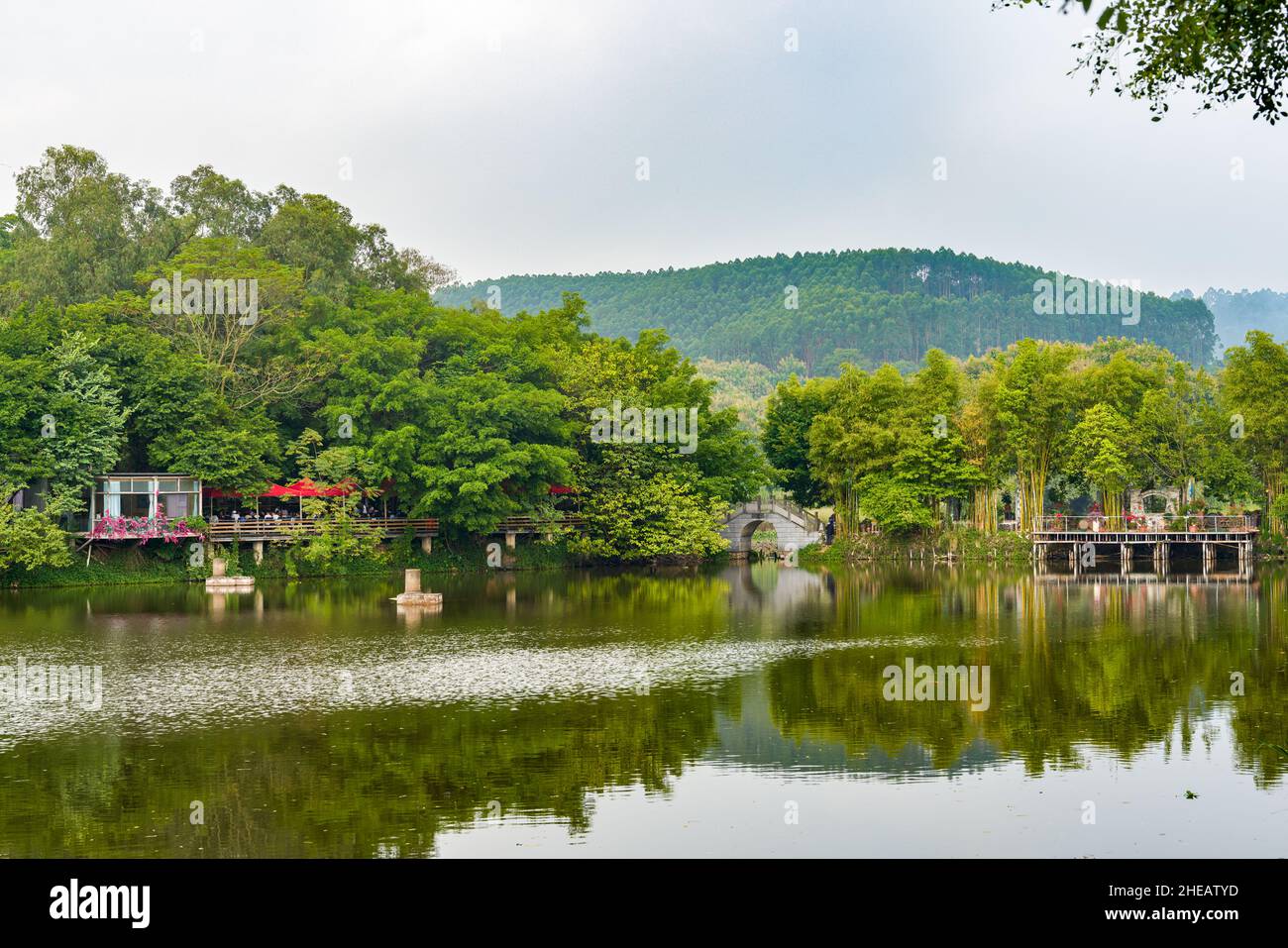 Landscape with small houses and vegetation on the lake and shore in the ...