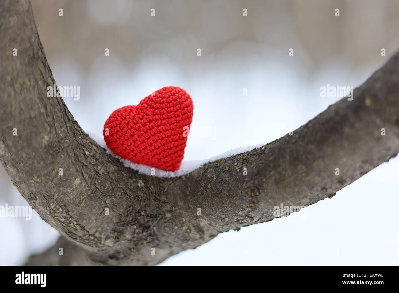 Heart in tree hi-res stock photography and images - Alamy