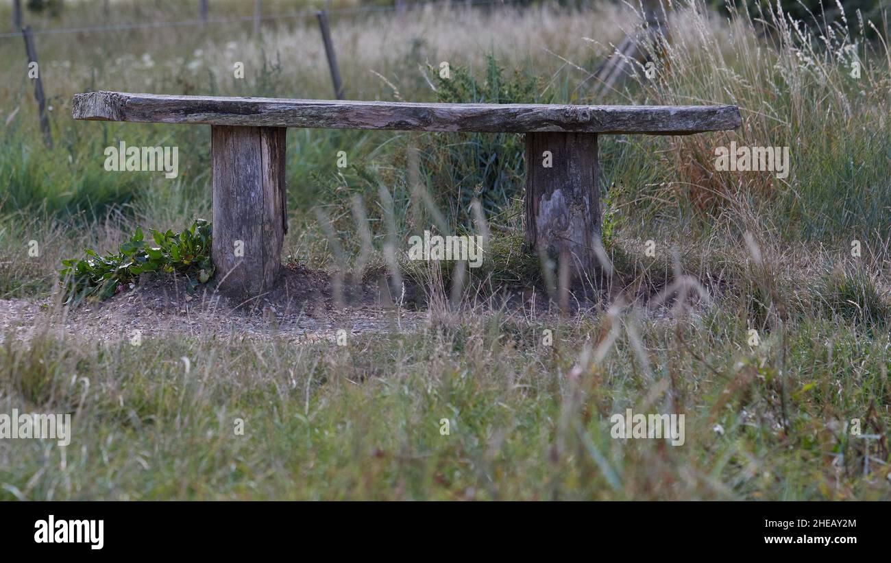 Bench along path view hi-res stock photography and images - Alamy